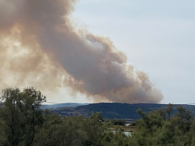 Bosbranden Europa - Bosbranden in Europa